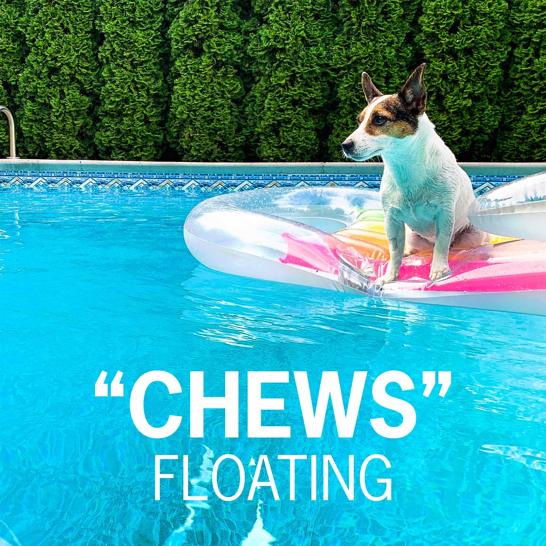 FLEXBONE® Systems - ARDEX Americas