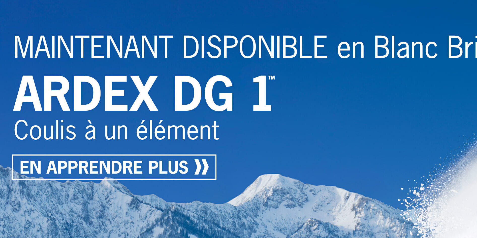 COULEURS DE COULIS ARDEX - ARDEX Americas